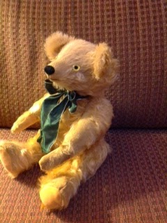 The Teddy Bear and Stuffy Doctor : Teddy Ireland Story